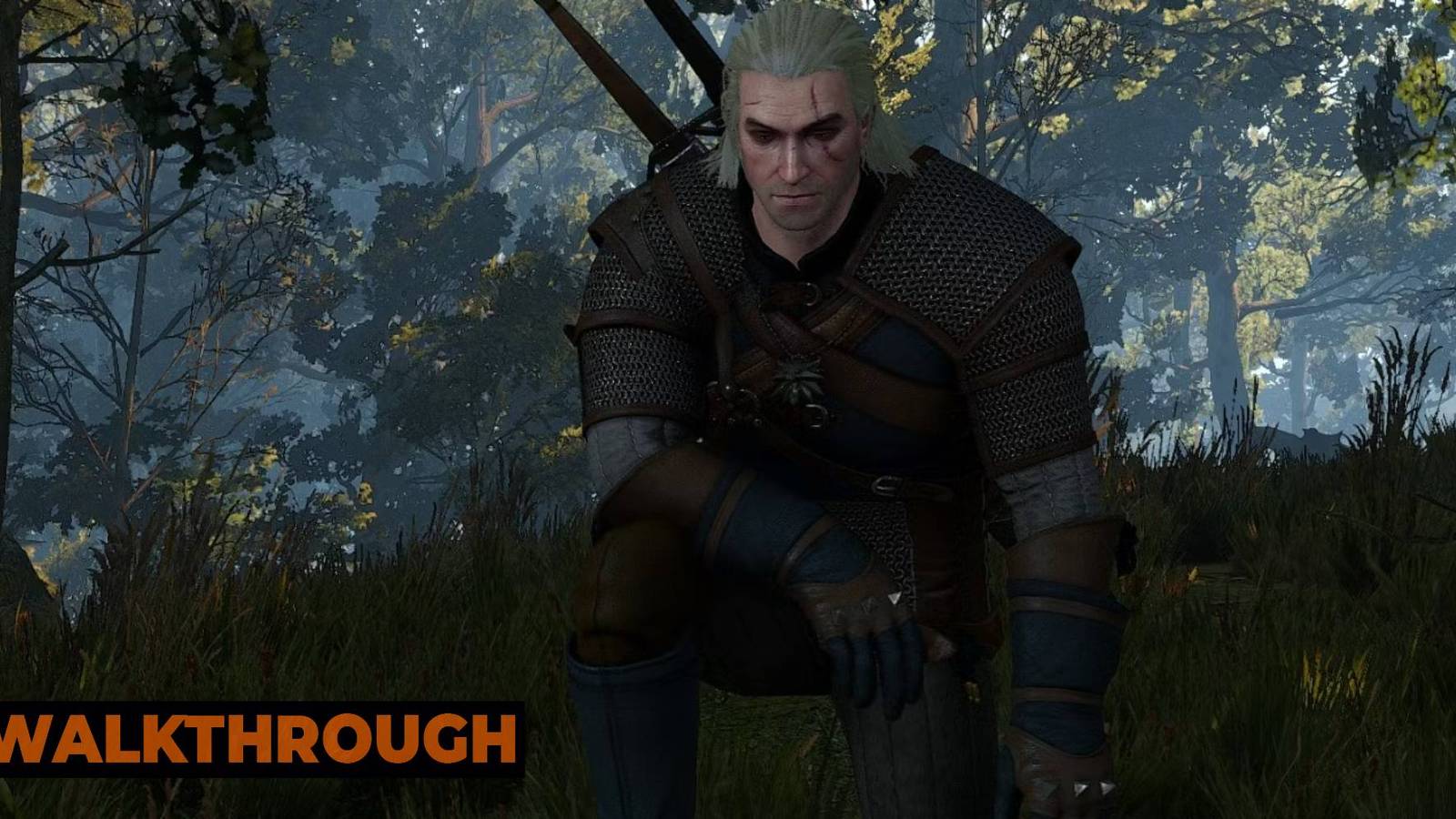 Should You Spare Margrit In The Witcher 3: Wild At Heart?
