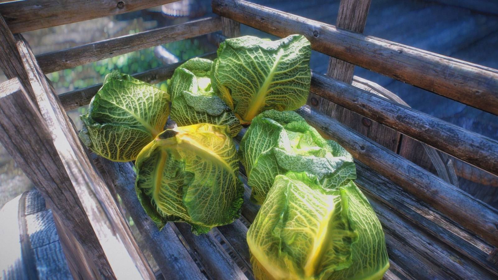 Skyrim Mod Adds Hyper Realistic 4K Cabbages