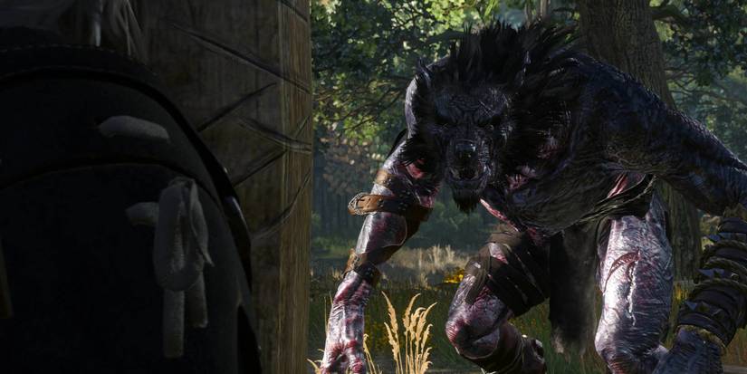 The Witcher 3: Side Quests We'd Love To Experience For The First Time Again