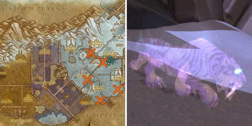 Where To Find All Spirit Beast Hunter Pets In WoW
