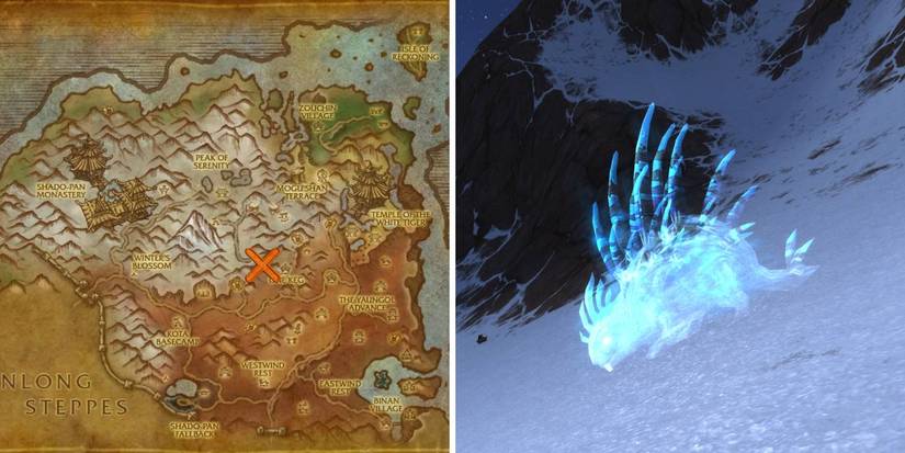 Where To Find All Spirit Beast Hunter Pets In WoW