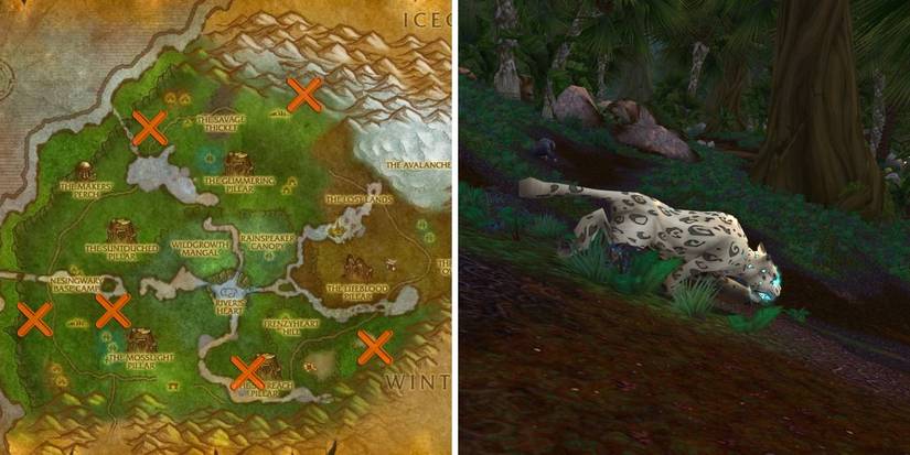 Where To Find All Spirit Beast Hunter Pets In WoW