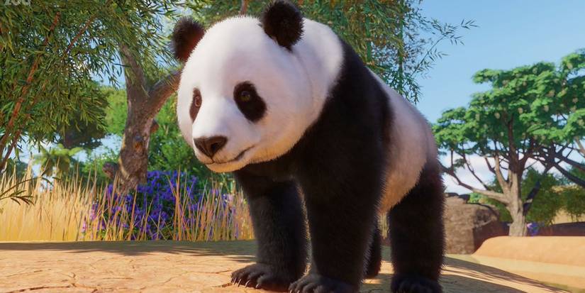 The Best Video Game Pandas