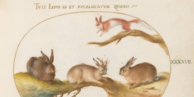 Cryptids That Could Be Pokemon