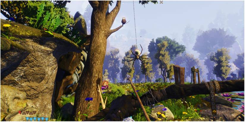 Beginner Tips And Tricks For Blacktail