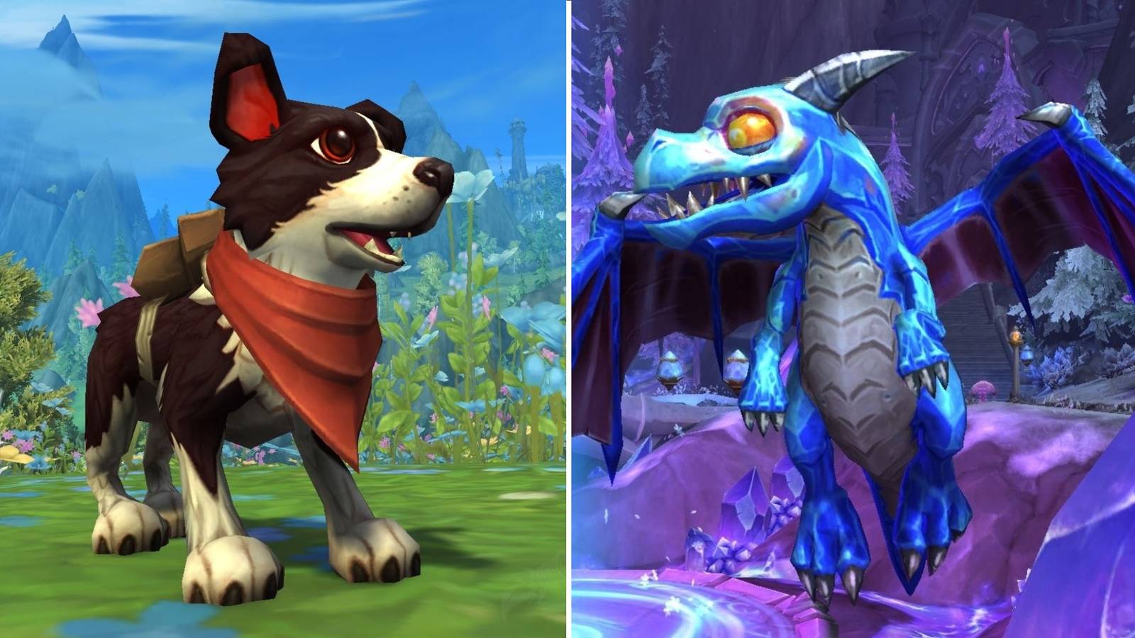 World of Warcraft: Dragonflight - 10 Rarest Battle Pets
