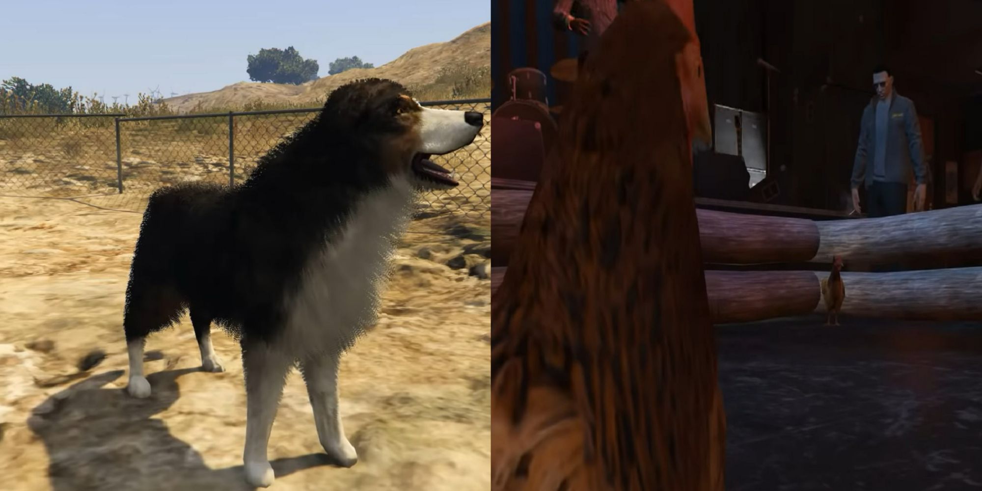 Gta 5 Dogs