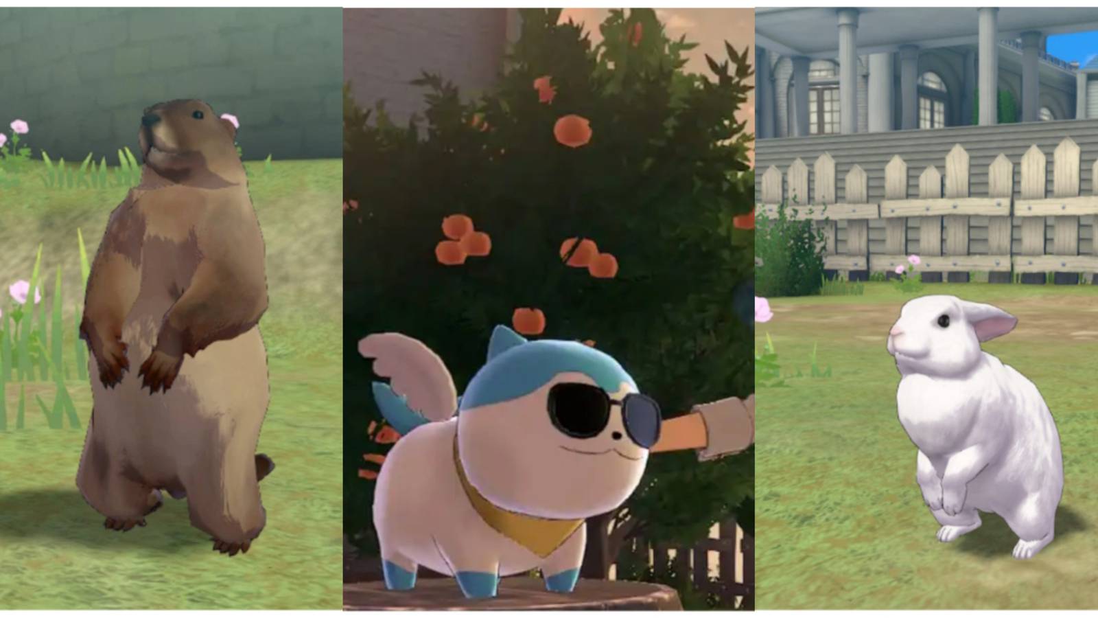 The Cutest Animals You Can Adopt In Fire Emblem Engage