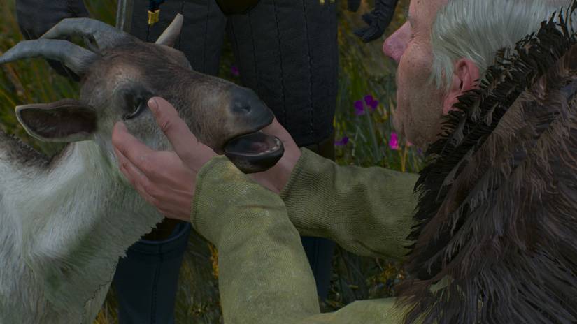 How To Guide The Goat Back In A Princess In Distress In The Witcher 3