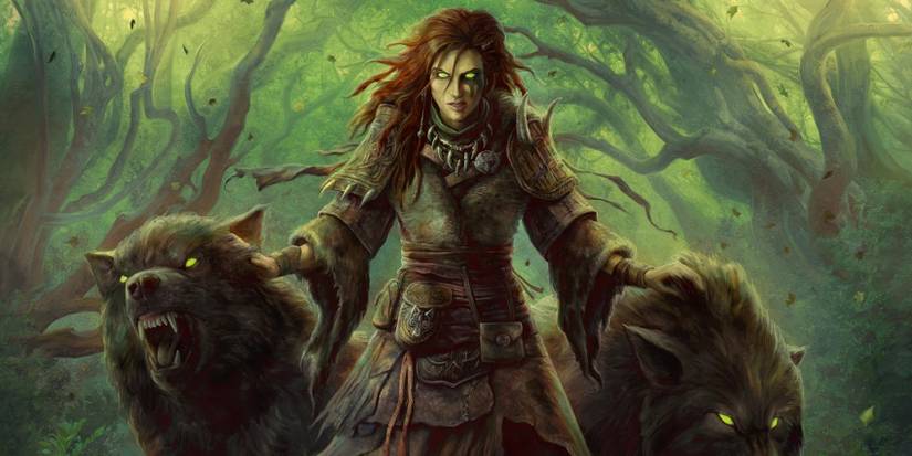 The Most Iconic Druids In DnD