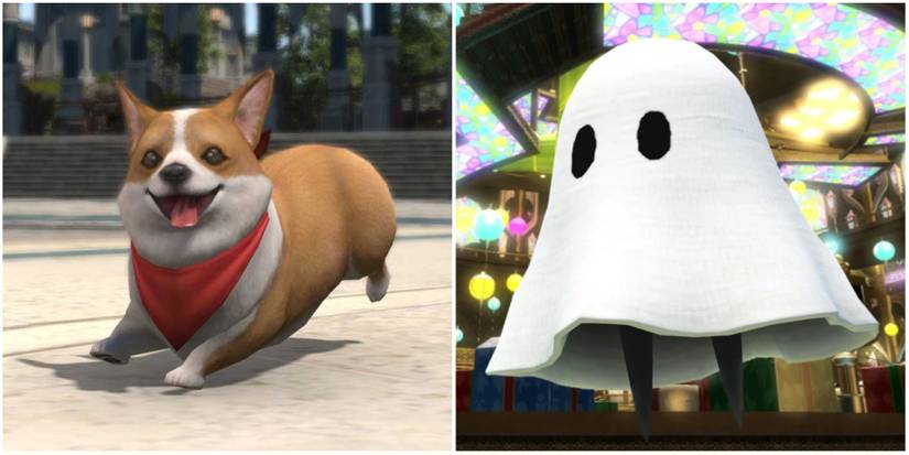 FFXIV: How To Get Every Mount And Minion Added In Patch 6.3