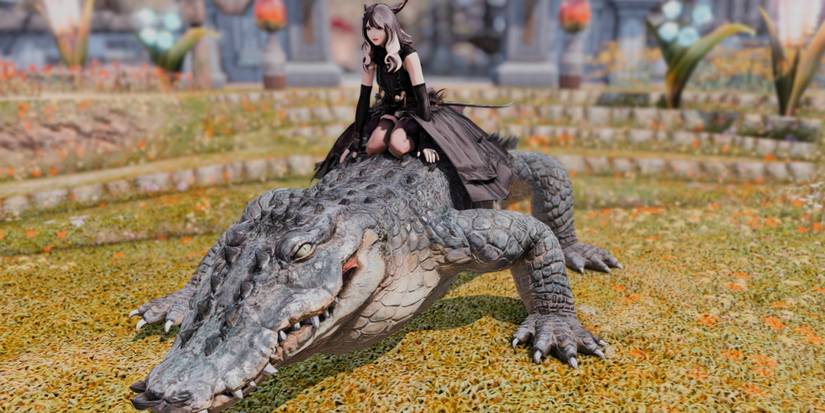 FFXIV: How To Get Every Mount And Minion Added In Patch 6.3