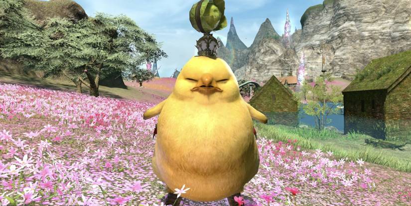 The Cutest Mounts In Final Fantasy 14