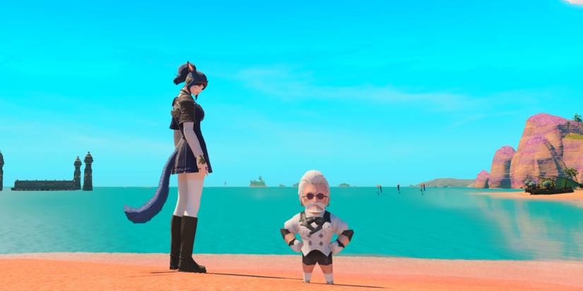 FFXIV: How To Get Every Mount And Minion Added In Patch 6.3