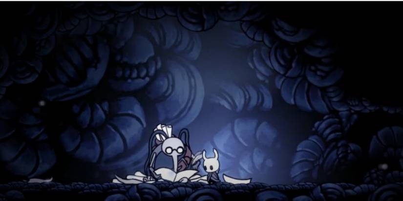 Where To Find Cornifer In Every Area Of Hollow Knight