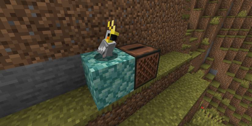9 Small Details We Love In Minecraft