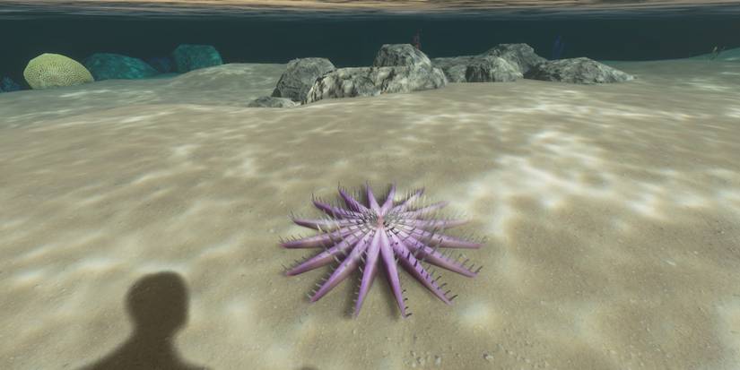 How To Cure Every Negative Status Effect In Stranded Deep