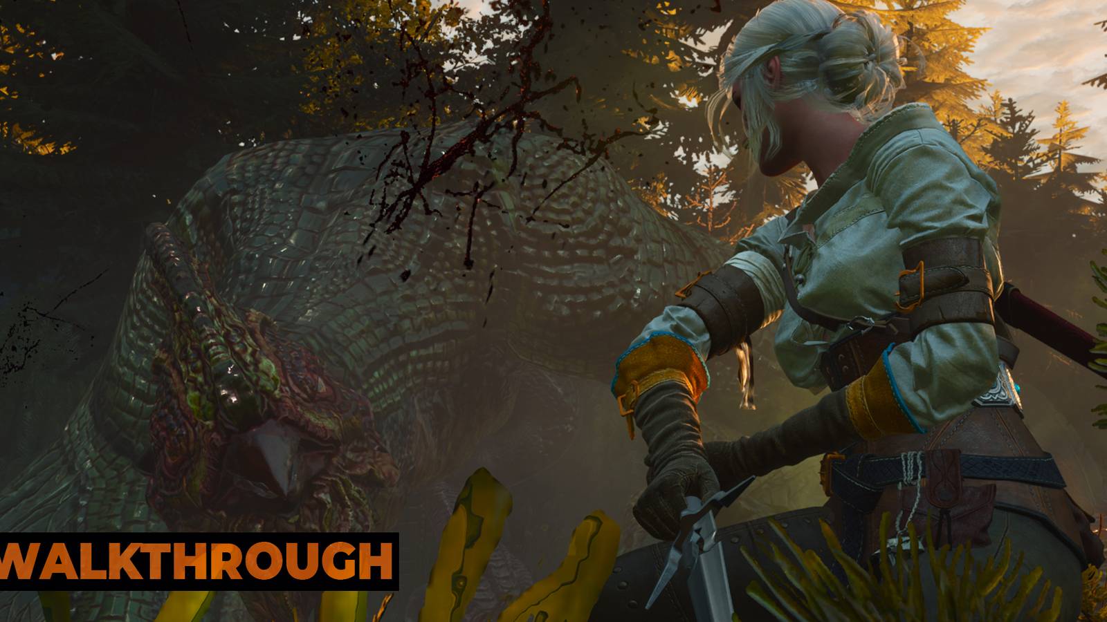 How To Get To The Top Of The Tower In Out Of The Shadows In The Witcher 3