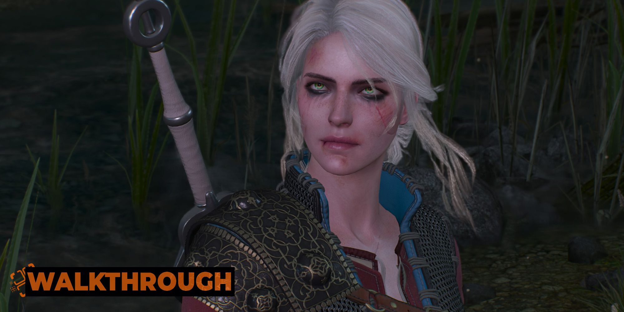 All The Leads To Investigate In Family Matters In The Witcher 3