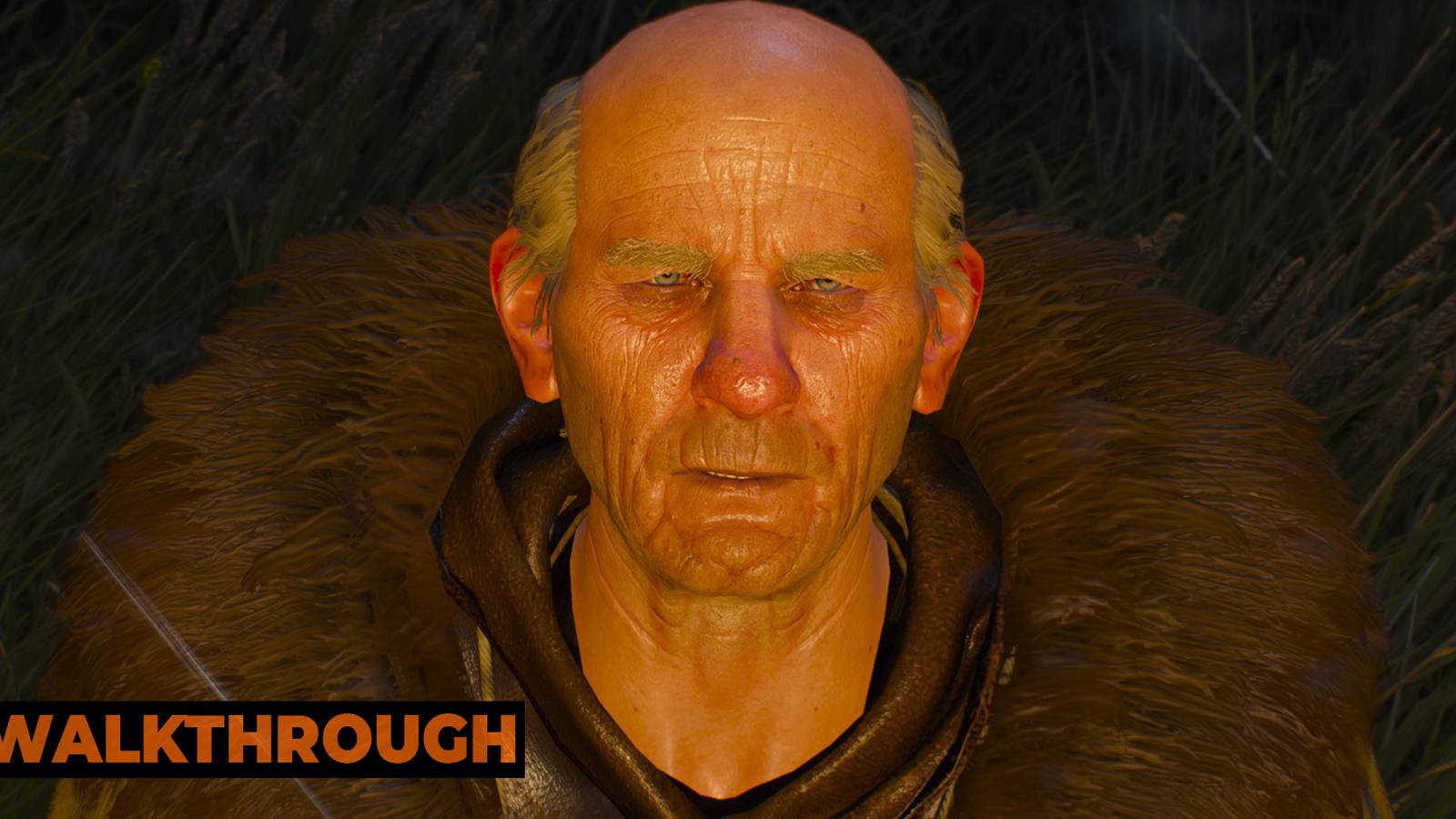 Which Choice To Make At Forefather's Eve In The Witcher 3