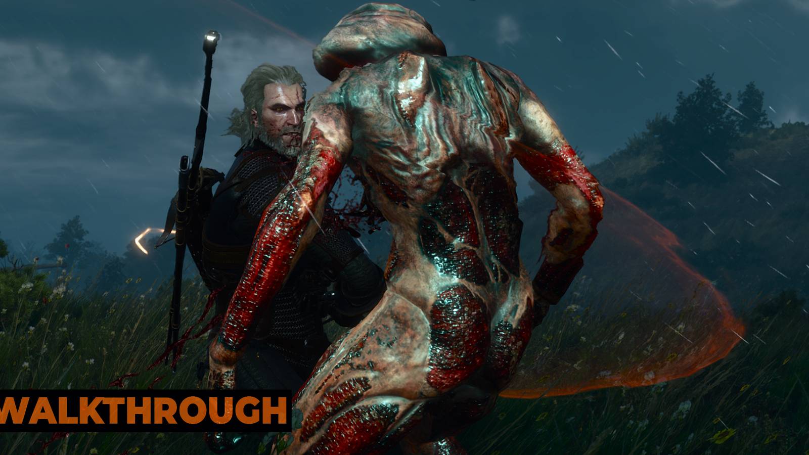 Which Choice To Pick In Funeral Pyres - The Witcher 3