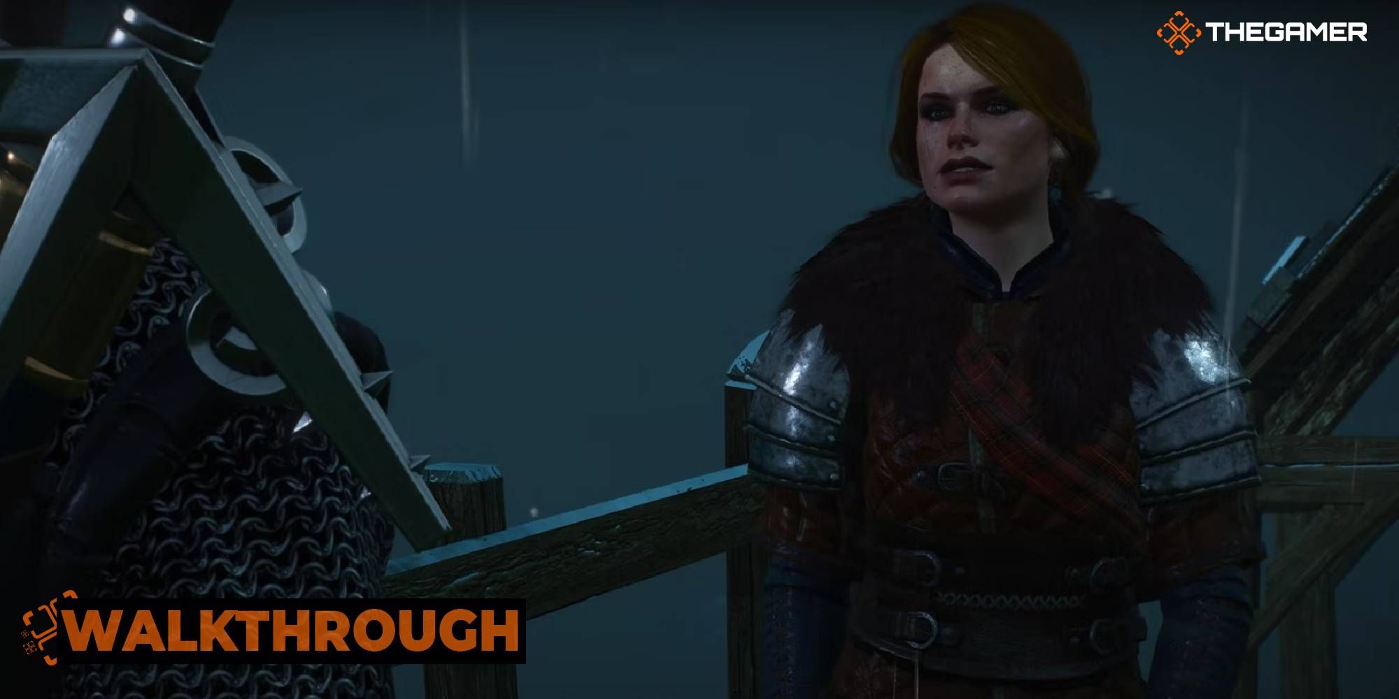 Should You Trick Or Fight The Hym In The Witcher 3?