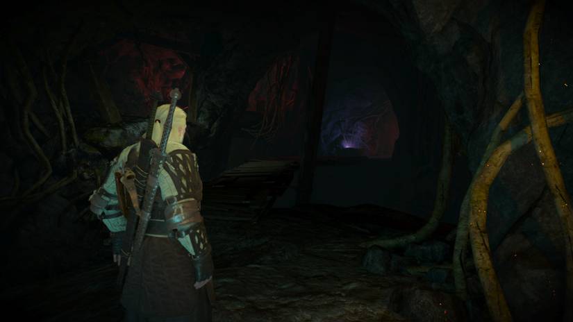 How To Complete In The Eternal Fire's Shadow In The Witcher 3