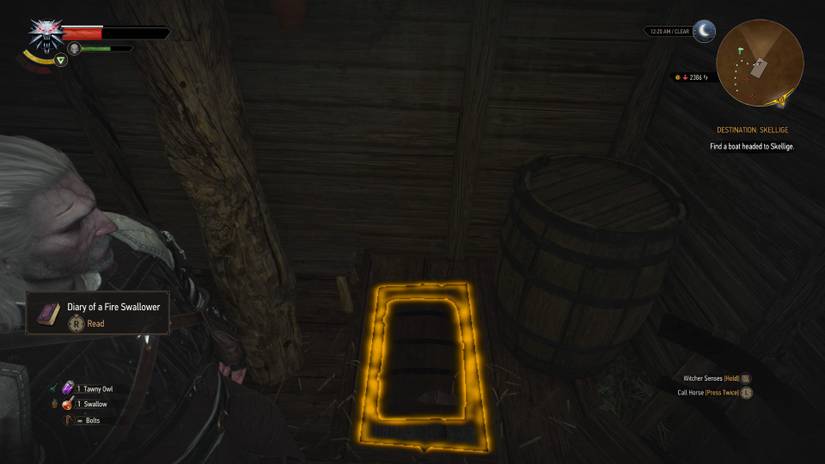 Where To Start A Dog's Life In The Witcher 3