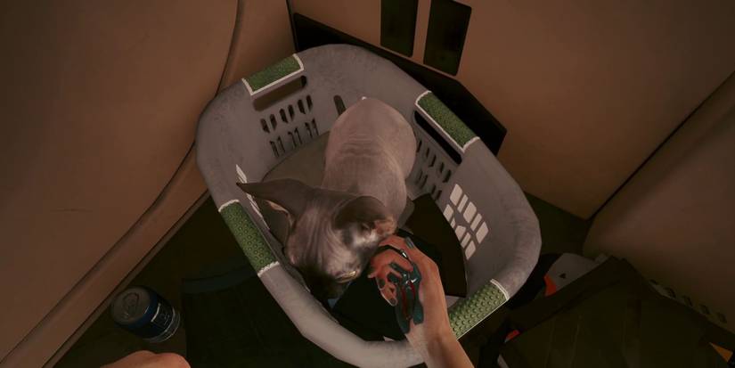 The Best Immersion Mods For Cyberpunk 2077