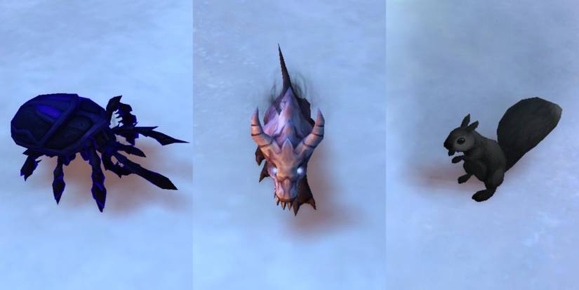 How To Win The Patchu Pet Battle In WoW Dragonflight