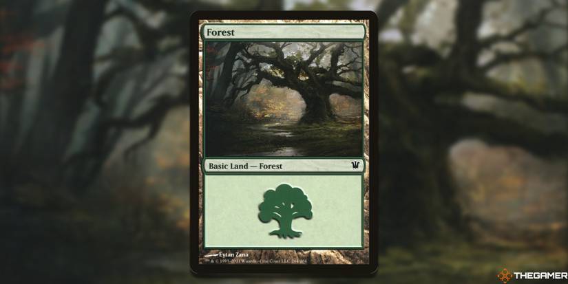 The Best Forest Cards In MTG Ranked By Artwork