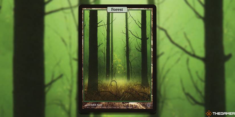 The Best Forest Cards In MTG Ranked By Artwork