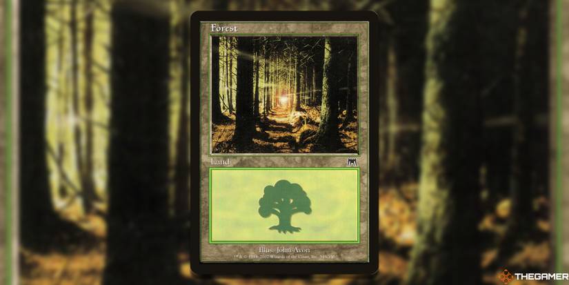 The Best Forest Cards In MTG Ranked By Artwork