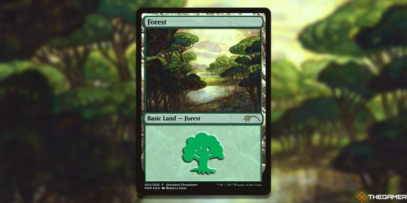 The Best Forest Cards In MTG Ranked By Artwork