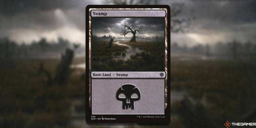 The Best Swamp Art In MTG