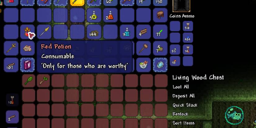 Everything You Need To Know About For The Worthy In Terraria