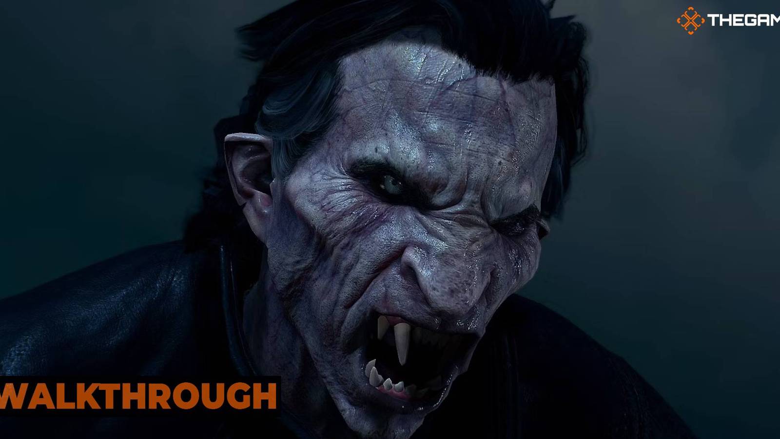 Tesham Mutna Walkthrough - The Witcher 3