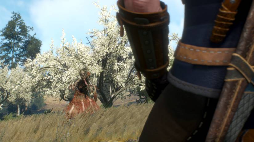 How To Start Contract: The White Lady In The Witcher 3