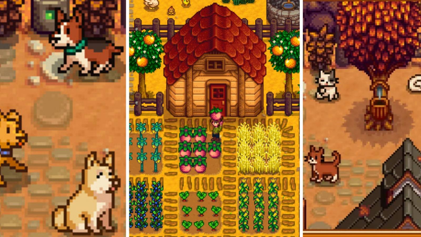 The Best Animal Mods In Stardew Valley