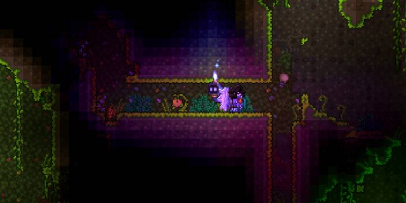Best Shimmer Transformations In Terraria