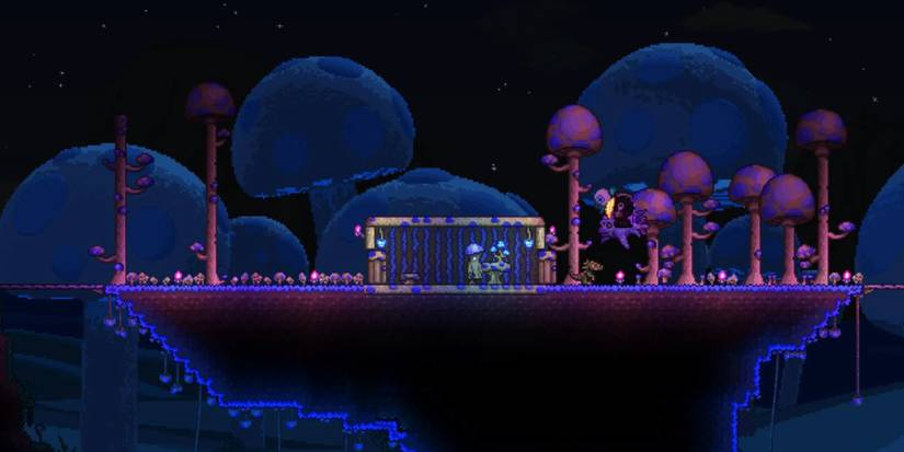 The Best NPCs In Terraria