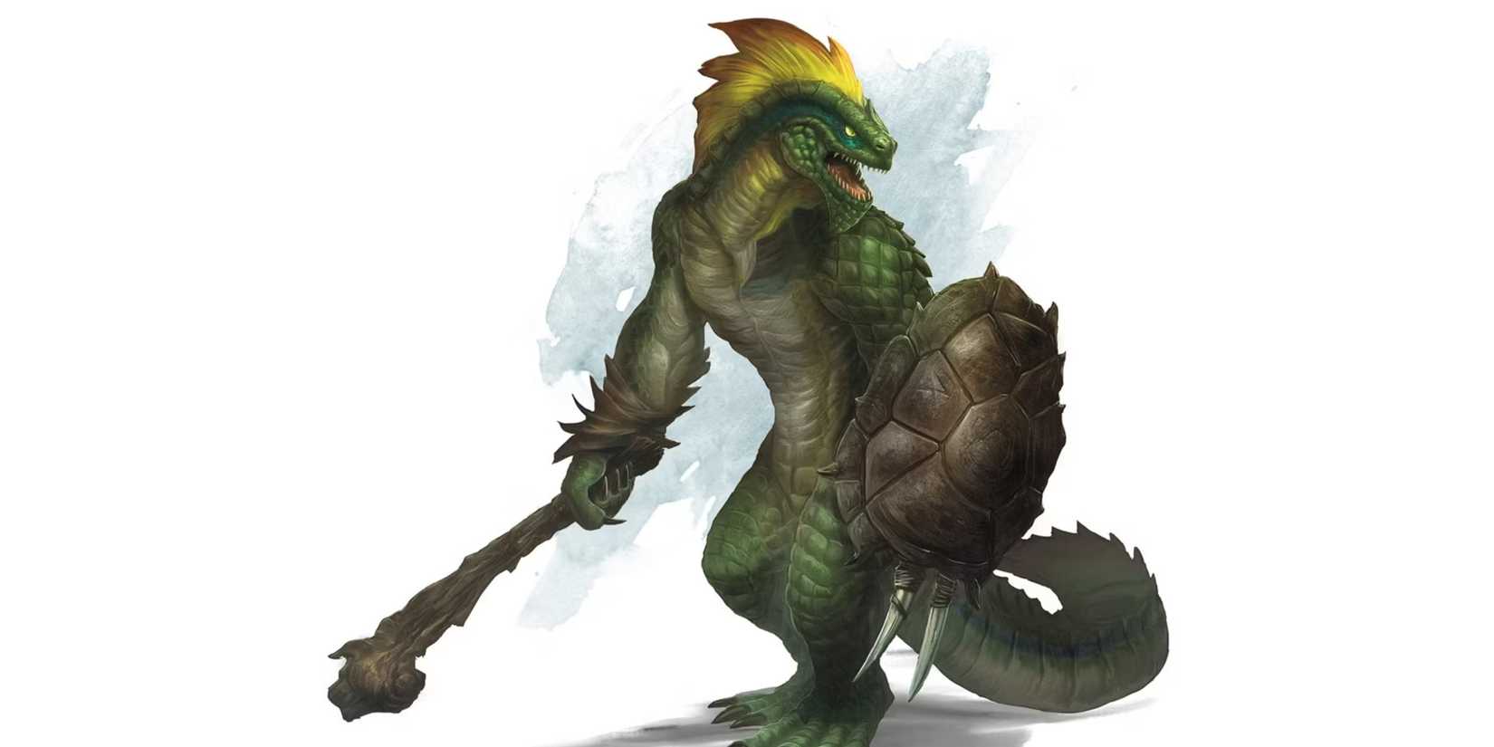 DnD: The Best Shields