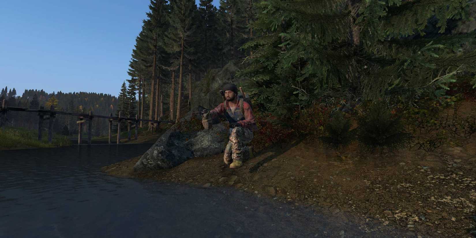 Beginner Tips And Tricks For DayZ