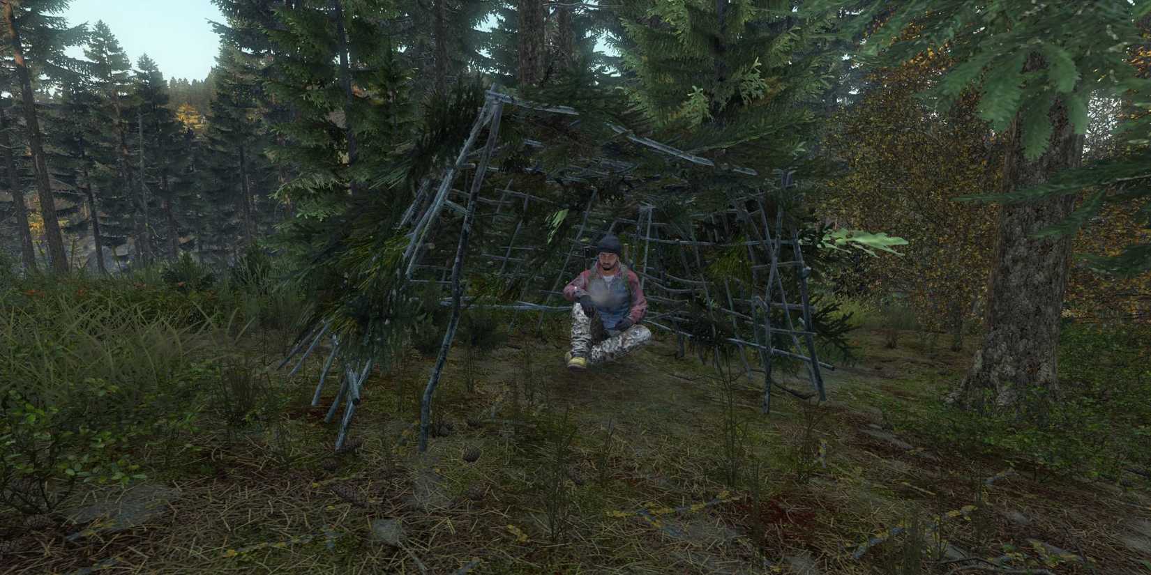 Beginner Tips And Tricks For DayZ
