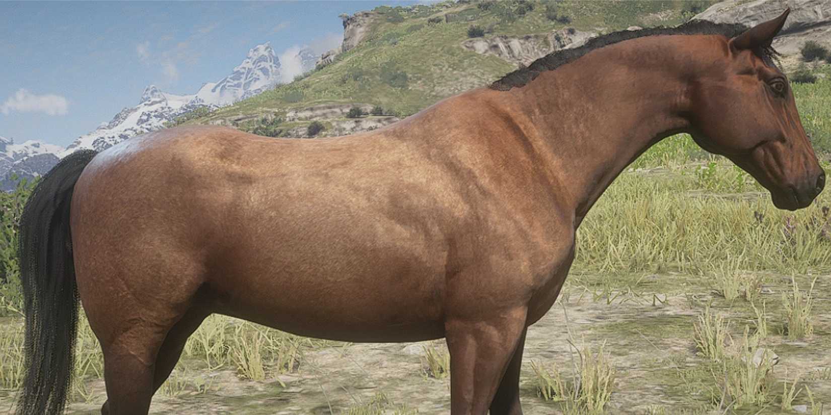 work horses rdr2