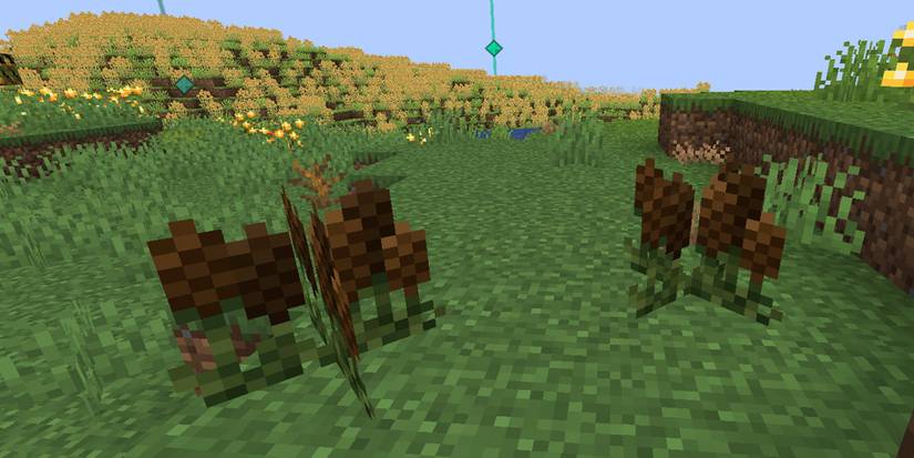 The Best Food Mods For Minecraft