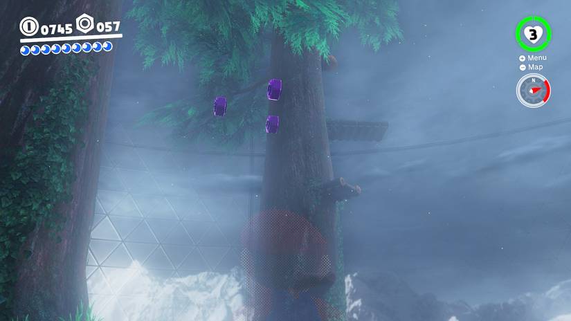 Where To Find Every Wooded Kingdom Purple Coin In Super Mario Odyssey
