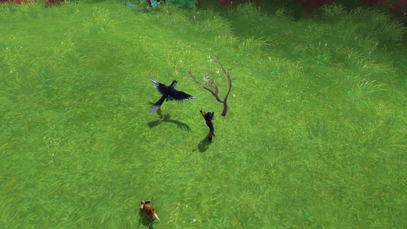 Community Events, Tasks, And Rewards For WoW: Dragonflight