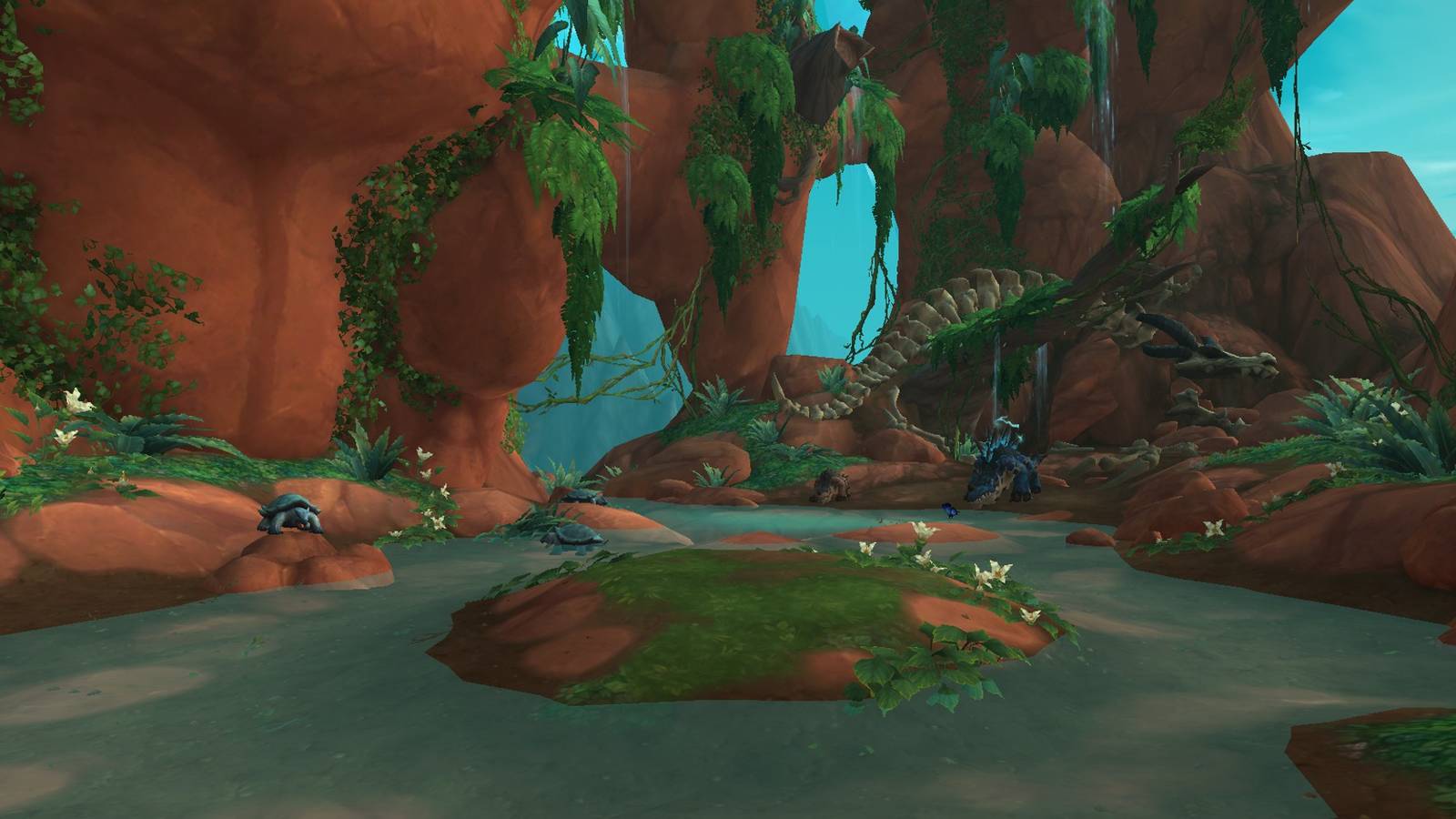 How To Use The Primal Ritual Shell In WoW Dragonflight