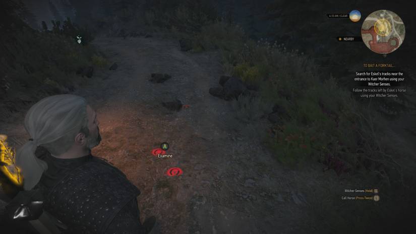 Where To Find The Cave In To Bait A Forktail... In The Witcher 3